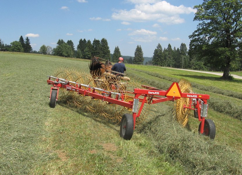 Sternrad-Schwader Tonutti Raptor V 12 - Landw. Wagen, Maschinen und ...